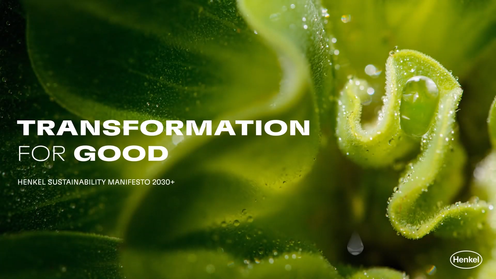 Transformational Impact