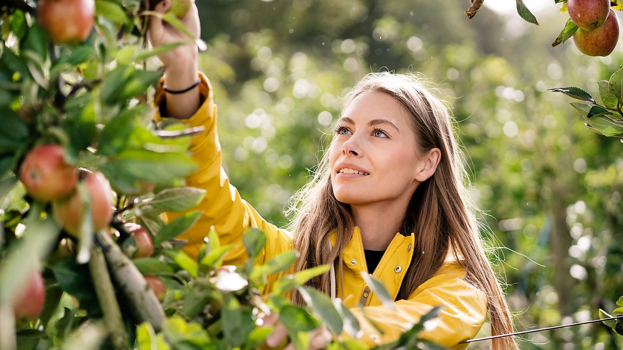 Henkel is thinking ahead for even purer and safer personal hygiene products